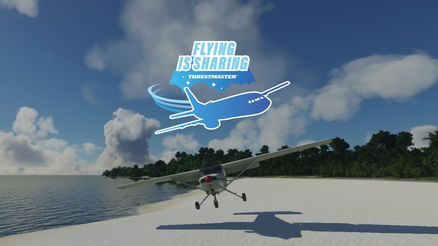 Flying is sharing - Thrustmaster